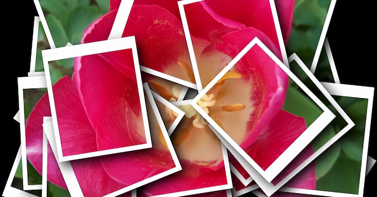 Come fare collage di foto gratis | Salvatore Aranzulla