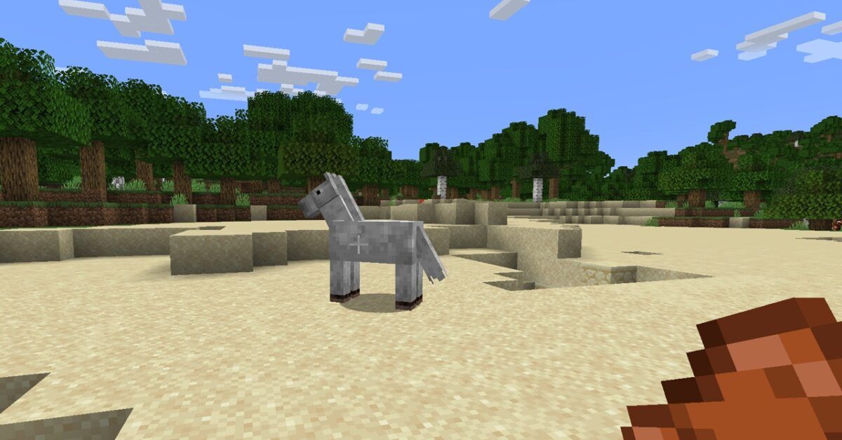 Come addomesticare un cavallo su Minecraft | Salvatore Aranzulla
