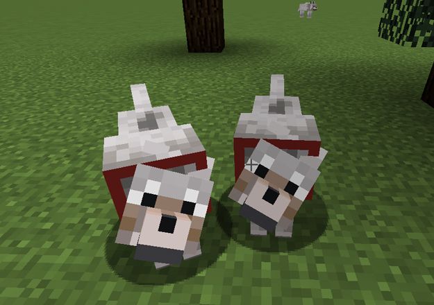 Come addomesticare un lupo su Minecraft | Salvatore Aranzulla